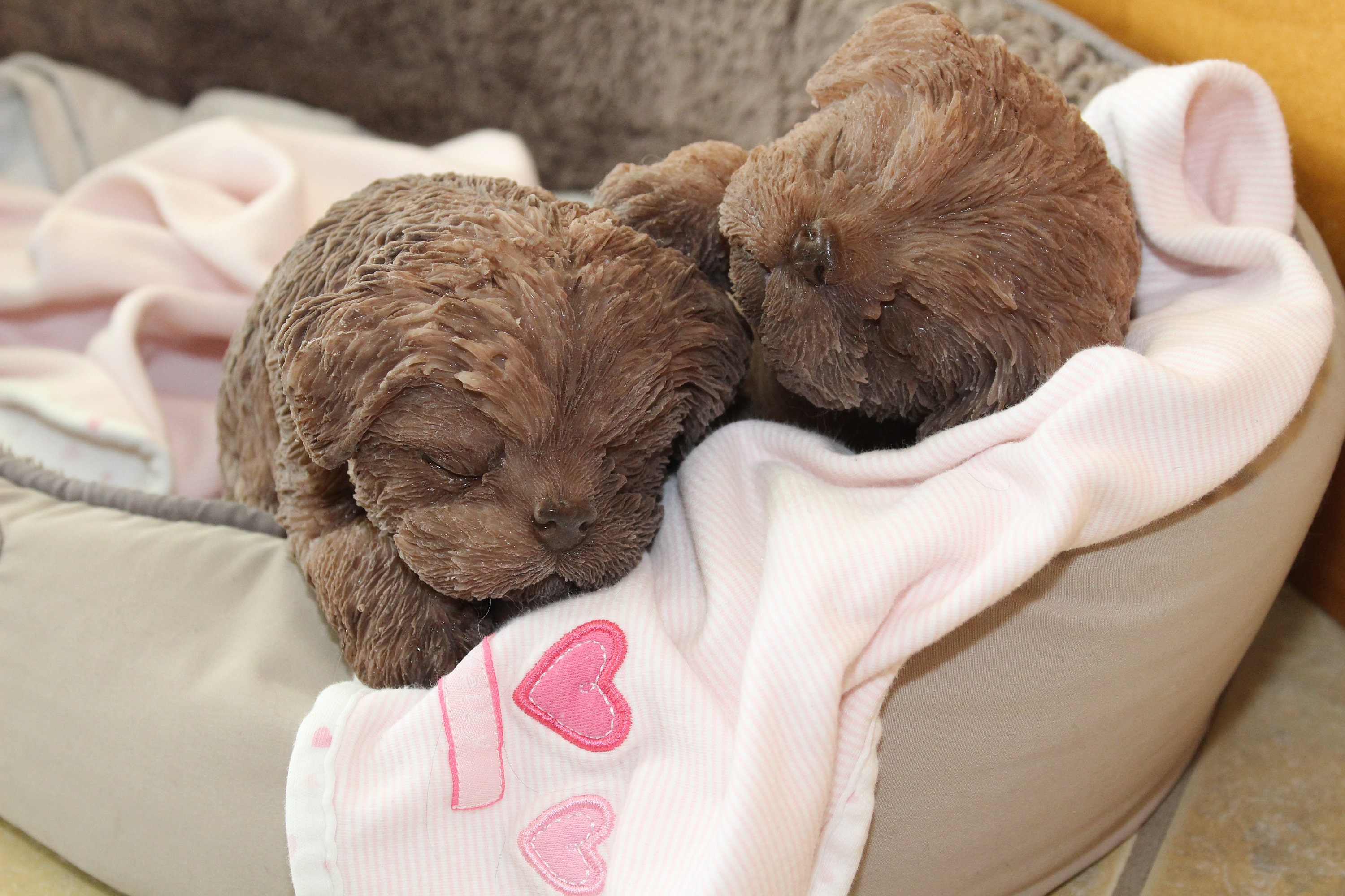 It's a PUPPY Girl FULL SILICONE Bathable Life Like Reborn | Etsy