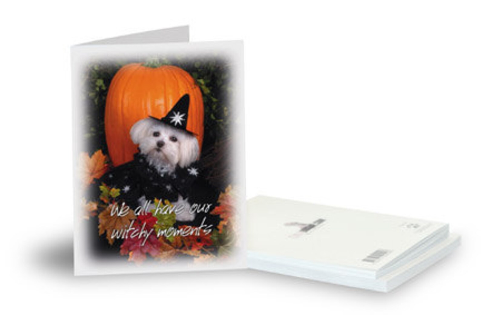 Maltese Greeting Cards Variety Pack Dog Gift | Etsy