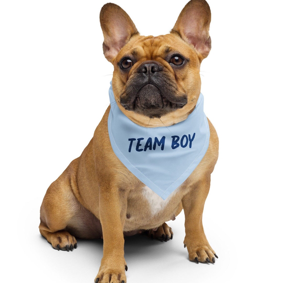 Team Boy // Gender Reveal Square Bandana - Etsy