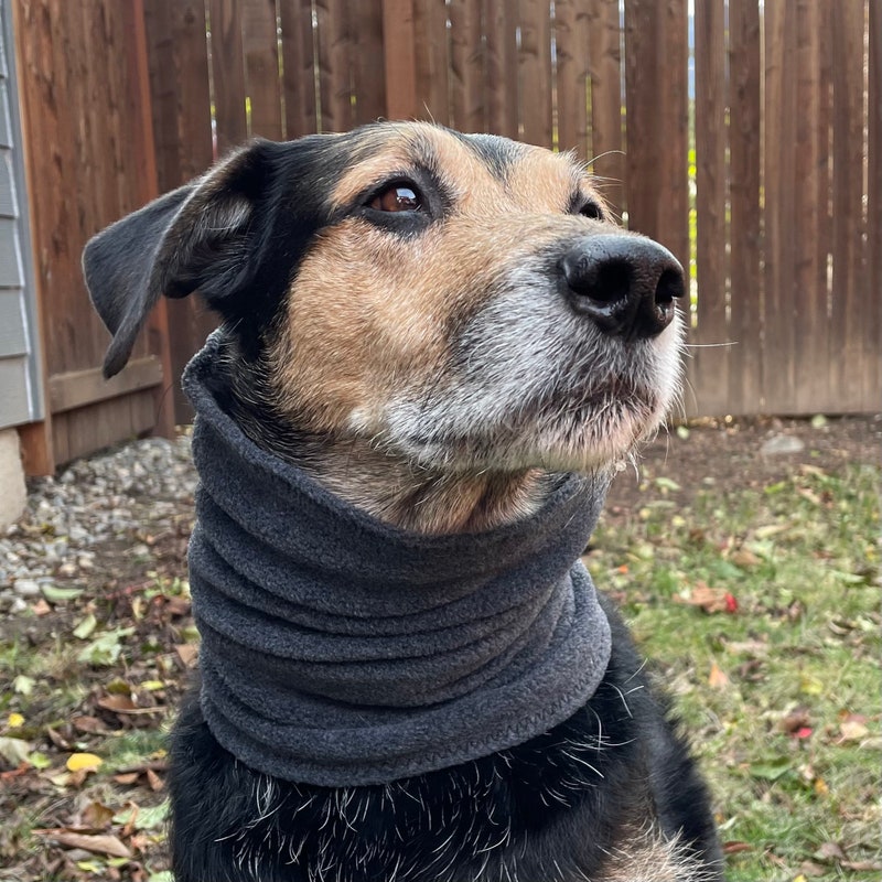 Pet Snood - Etsy