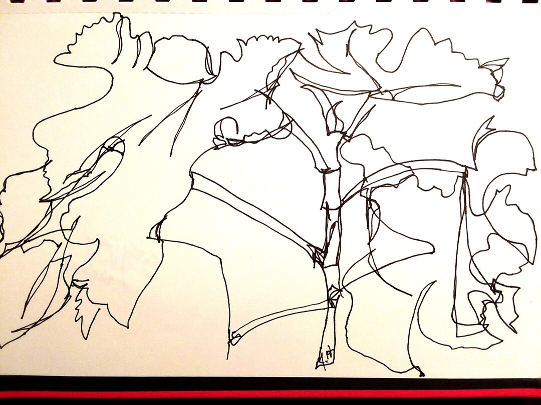 Fig Tree Sketch, Pen and Ink Artwork, Blind Contour Drawing, 5x8 - Etsy