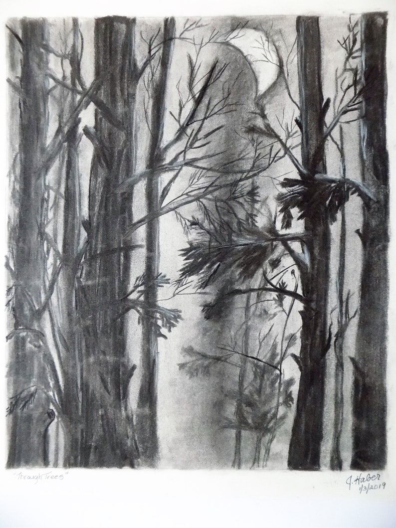 Original Charcoal Drawing Nature, Trees Art Drawing, Moon - Etsy UK