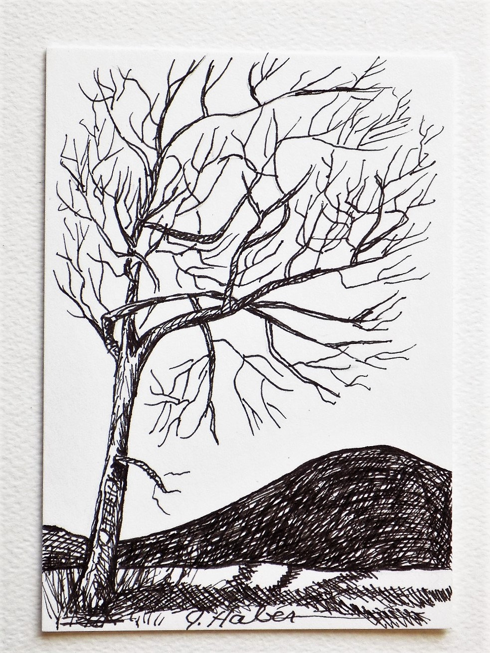 Original Pen and Ink Tree Drawing: ACEO One-of-a-kind Art (2.5 X 3.5 ...