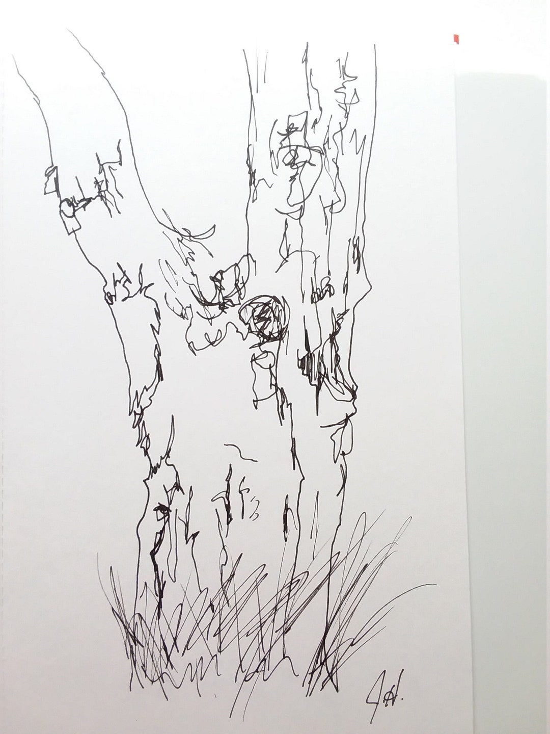 Original Tree Sketch: Pen and Ink Line Art (5x8) - Etsy