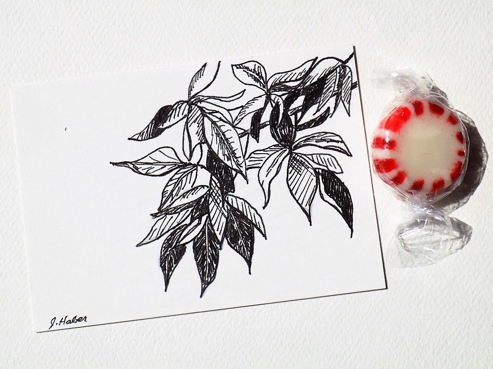 ACEO Original Art Leaves Pen and Ink Drawings Original - Etsy
