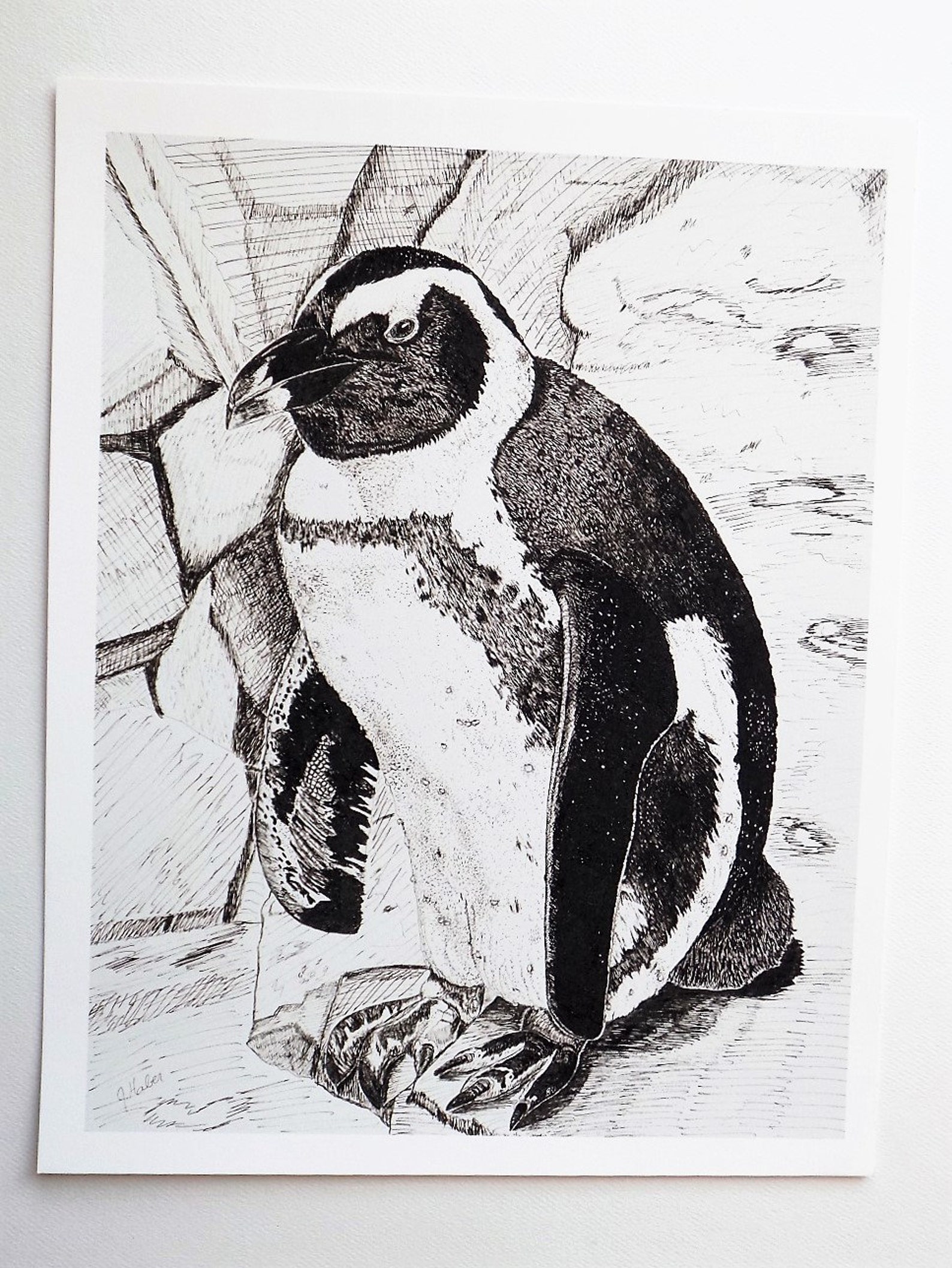 Penguin Art Print Pen and Ink Drawings Fine Art Giclee - Etsy