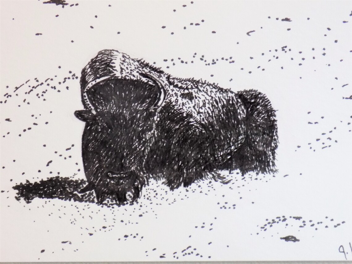 Buffalo Original Pen and Ink Drawing ACEO Small Art Trading - Etsy