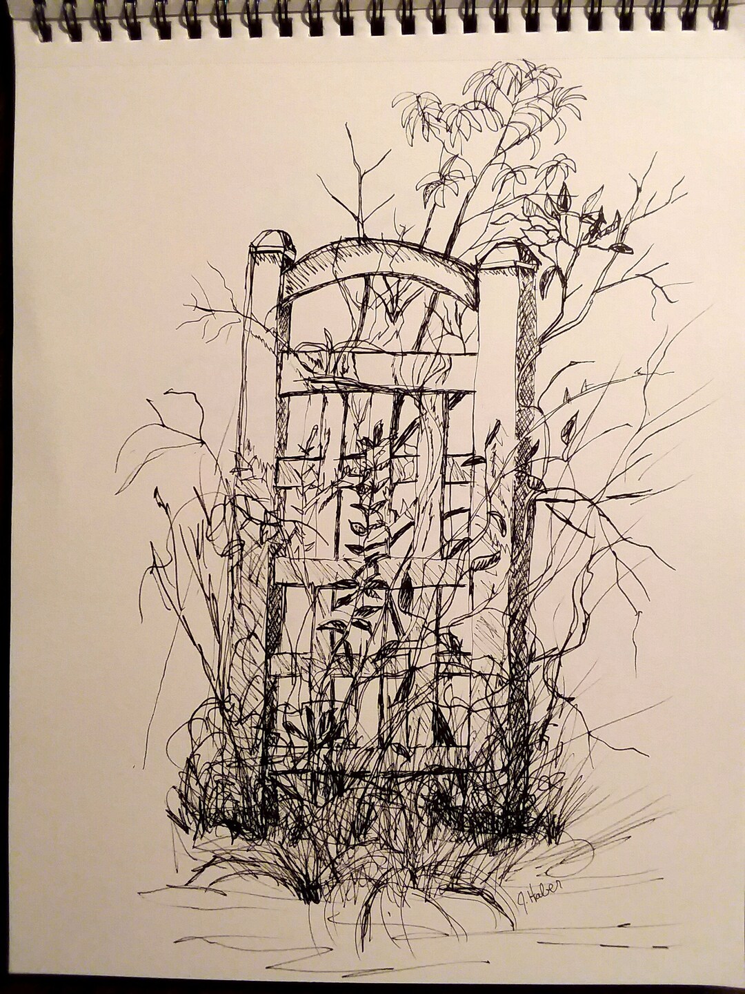 Pen and Ink Drawing, Plants Drawing, Original Artwork, 8" X 10" - Etsy