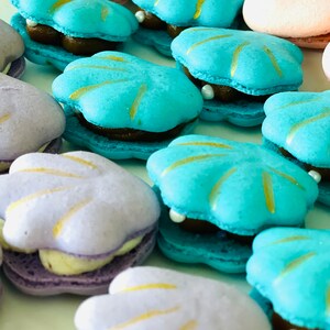 Seashell Macarons D2 - Etsy