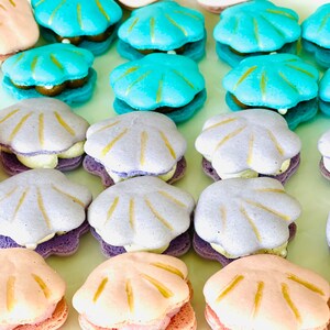 Seashell Macarons D2 - Etsy
