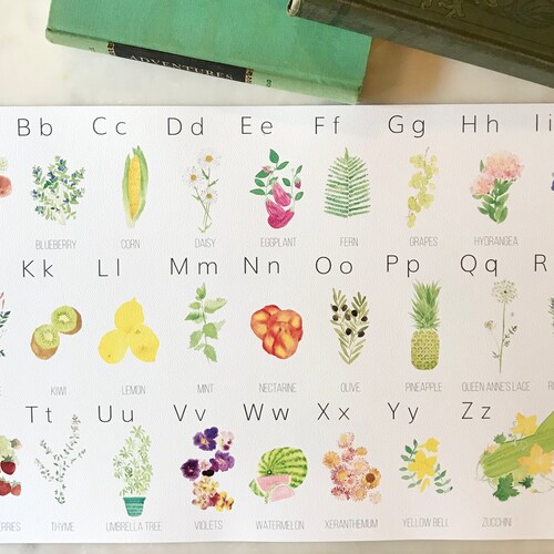 Botanical Alphabet Chart / ABC Poster - Etsy Canada