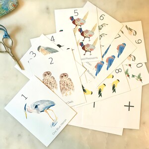 Counting Cards / Number Flashcards Birds - Etsy