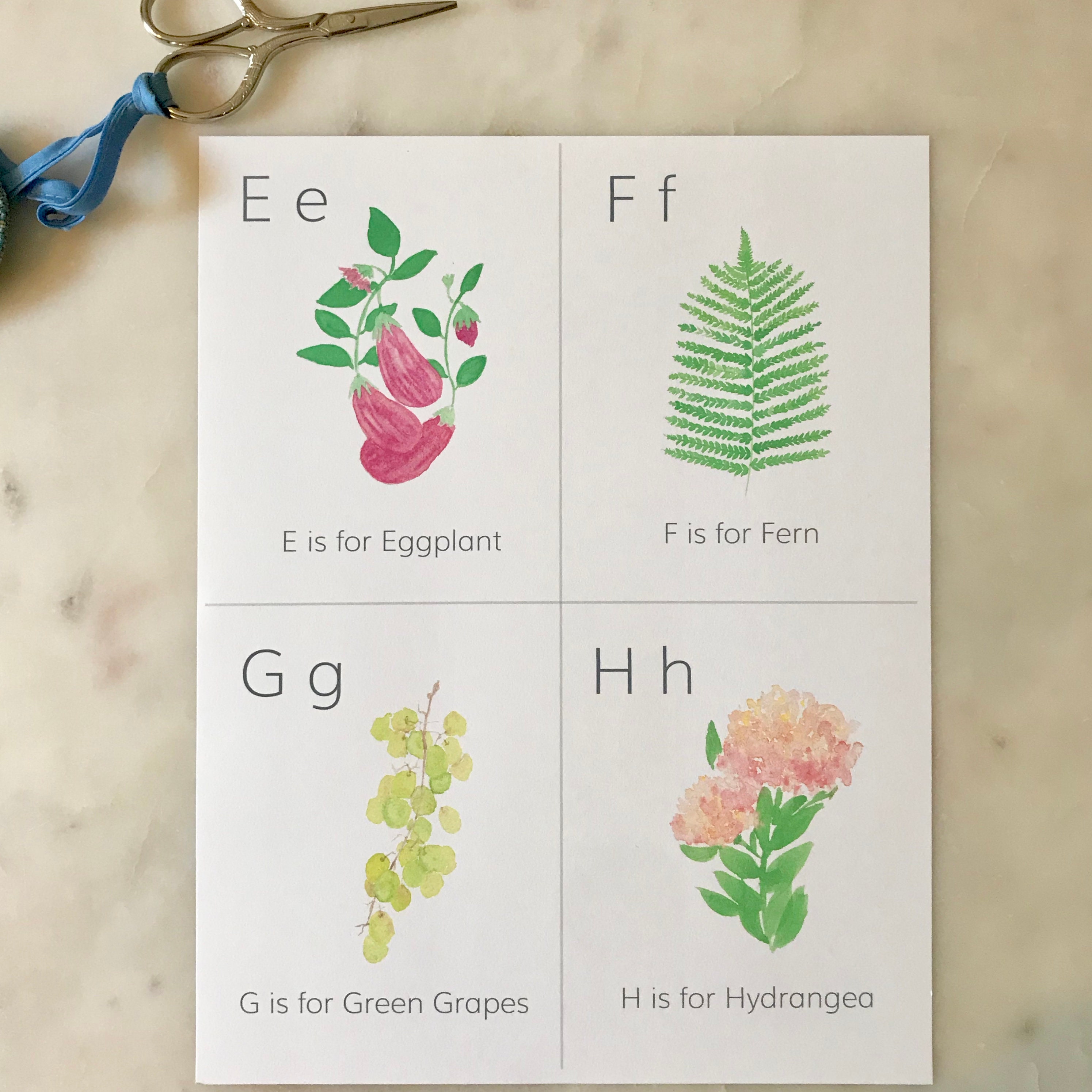 Alphabet Flashcards Botanical / ABC Flashcards Printable Download - Etsy