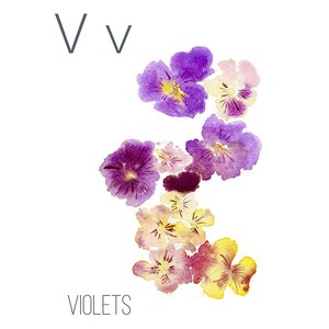 Botanical Alphabet Chart / ABC Poster - Etsy Canada