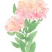 Botanical Alphabet Chart / ABC Poster - Etsy Canada
