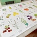 Botanical Alphabet Chart / ABC Poster - Etsy Canada