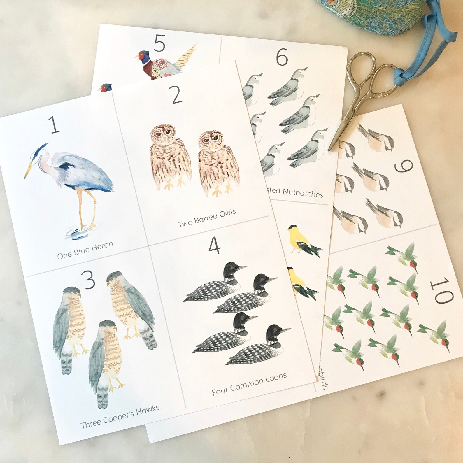 Counting Cards / Number Flashcards Birds - Etsy