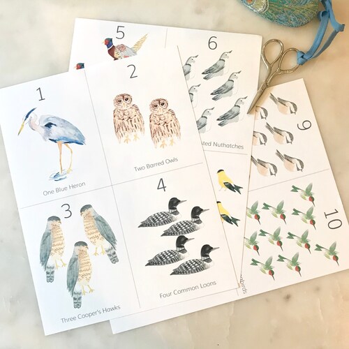 Counting Cards / Number Flashcards Birds - Etsy