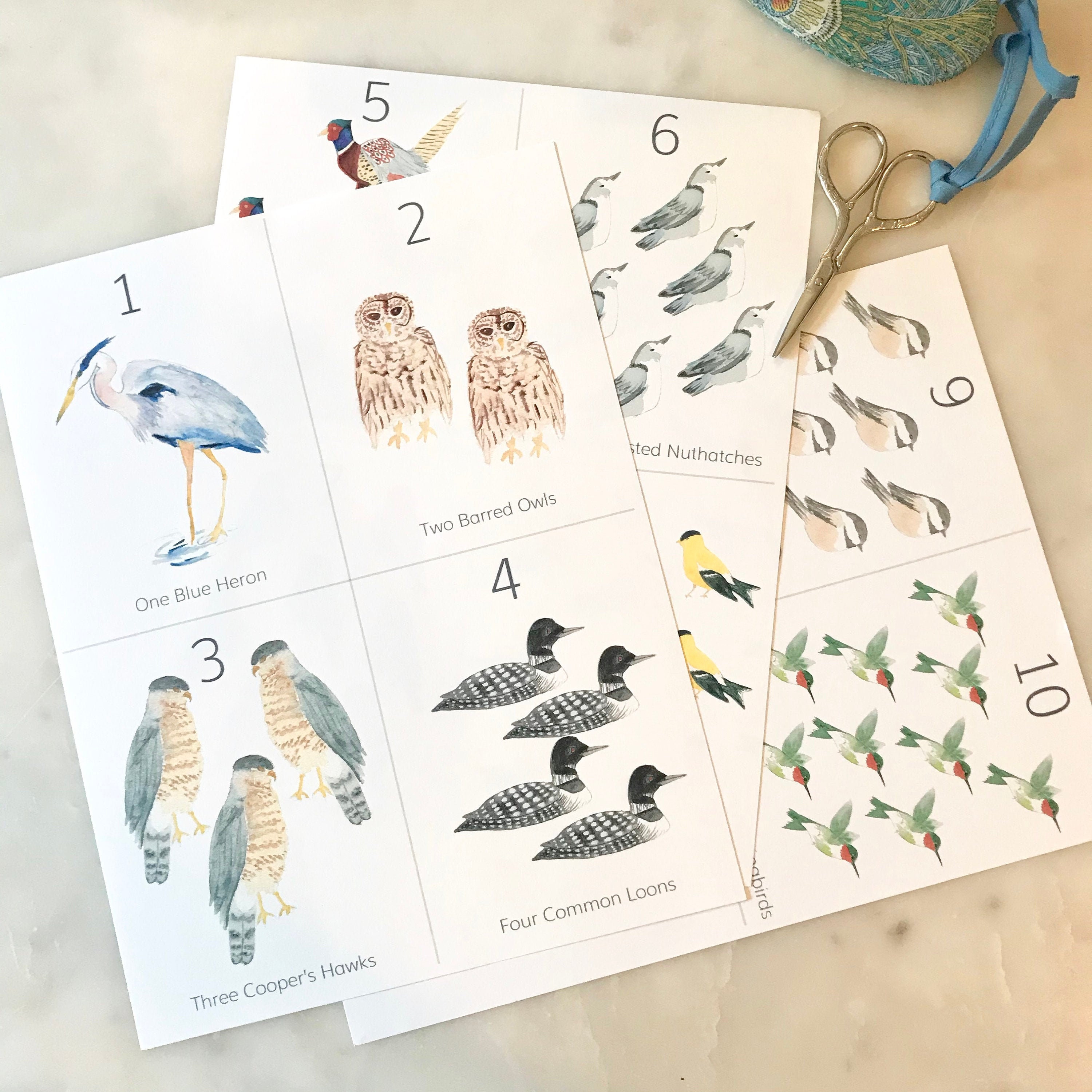 Counting Cards / Number Flashcards Birds - Etsy