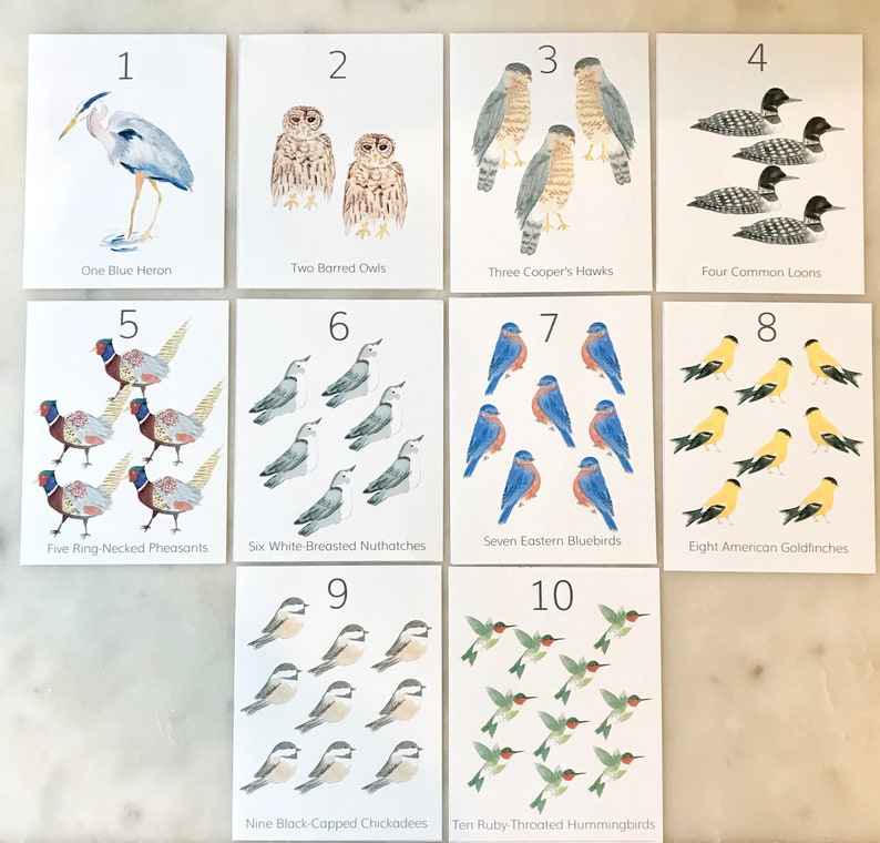 Counting Cards / Number Flashcards Birds - Etsy