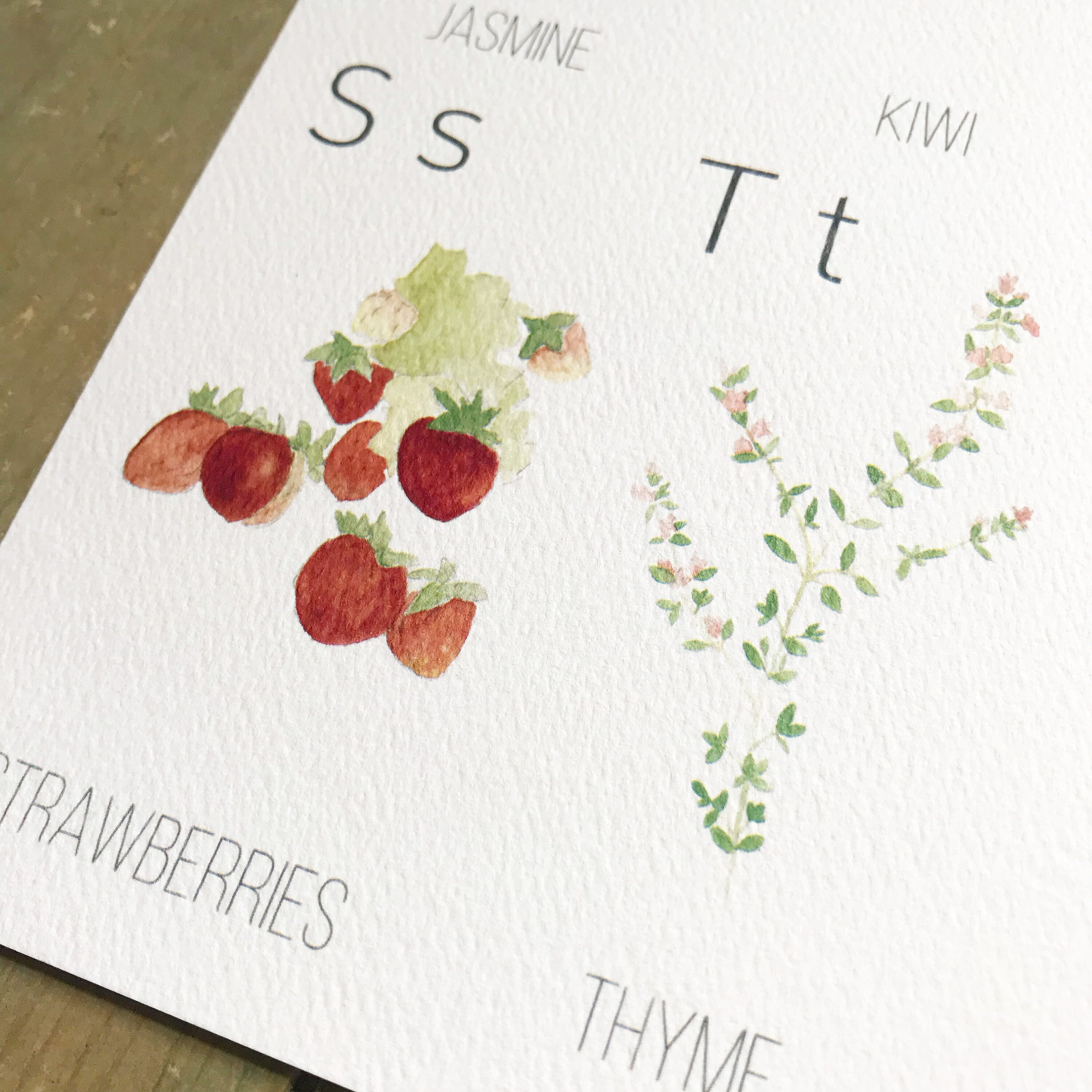 Botanical Alphabet Chart / ABC Poster - Etsy