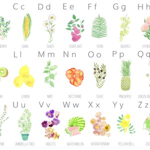 Botanical Alphabet Chart / ABC Poster - Etsy Canada
