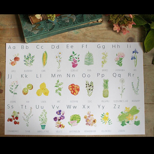 Botanical Alphabet Chart / ABC Poster - Etsy