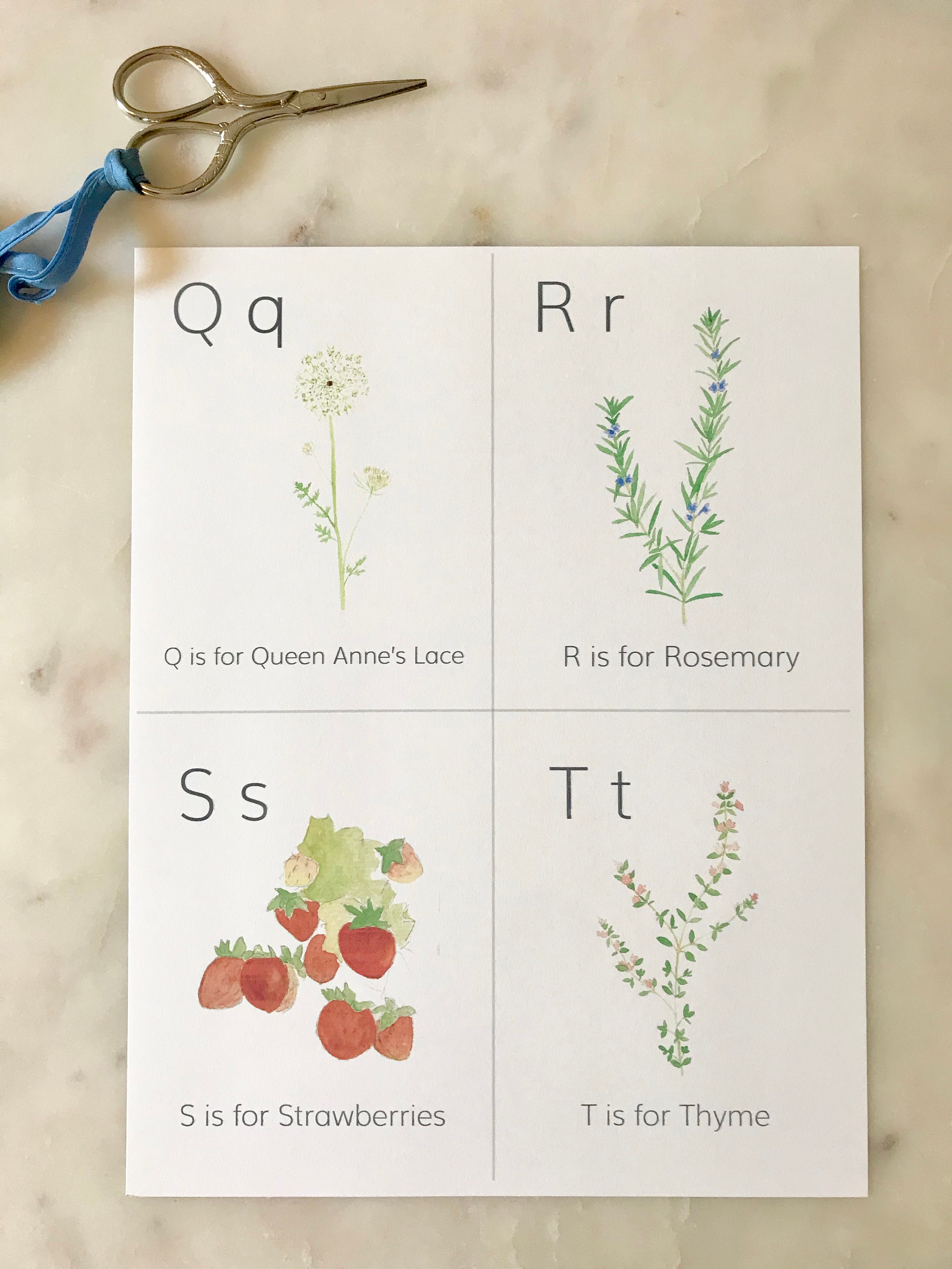 Alphabet Flashcards Botanical / ABC Flashcards Printable Download - Etsy