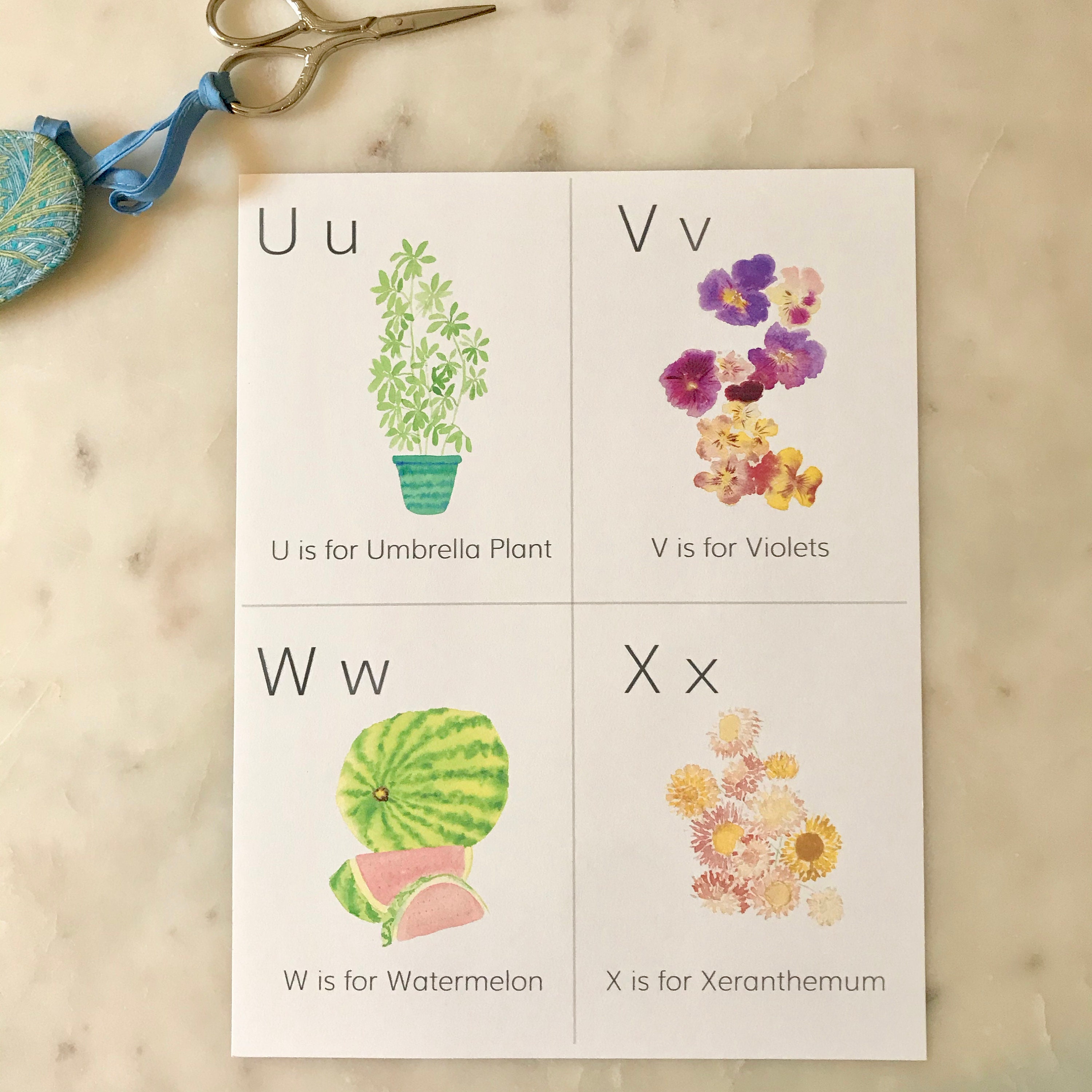 Alphabet Flashcards Botanical / ABC Flashcards Printable Download - Etsy