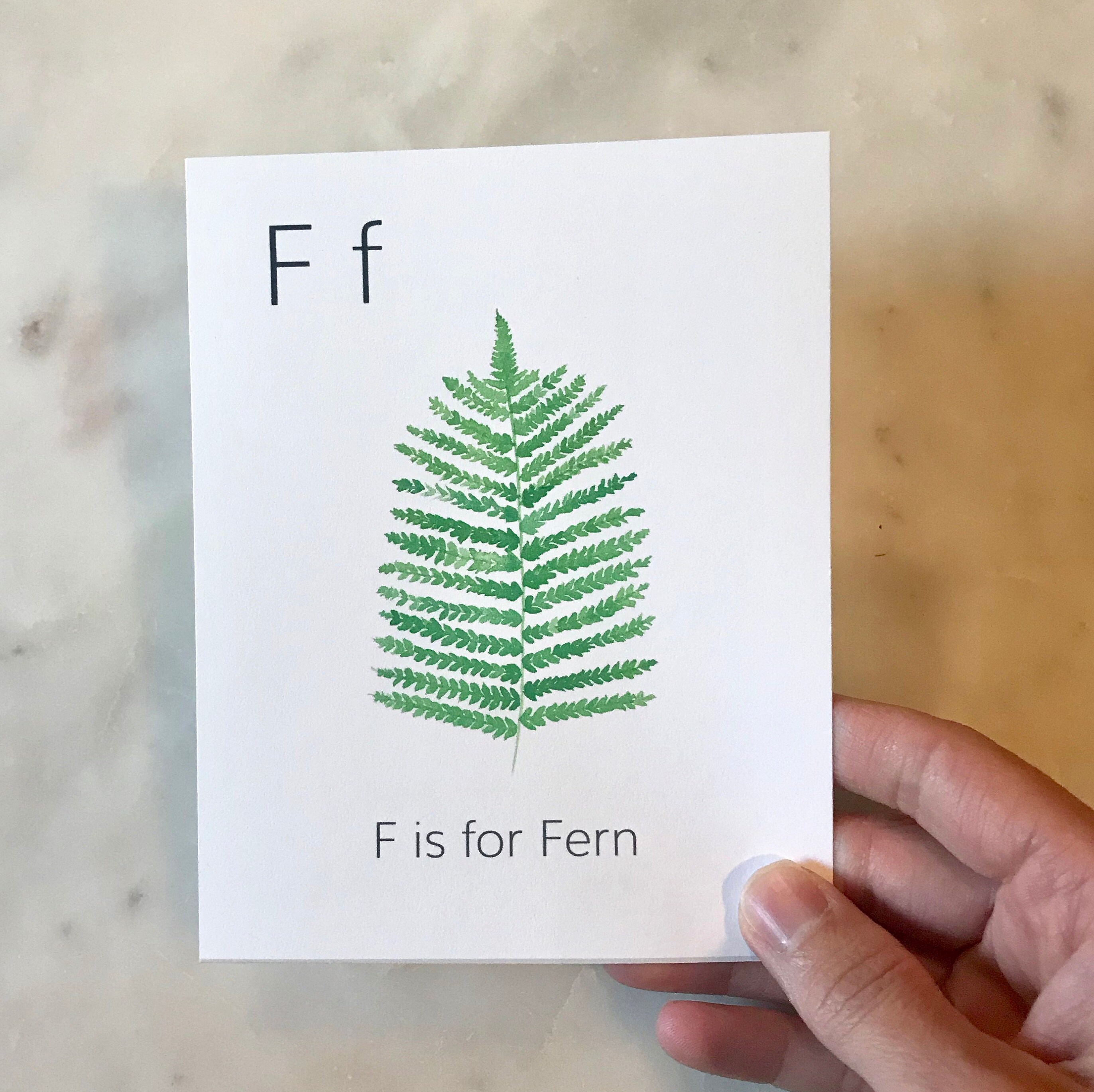 Alphabet Flashcards Botanical / ABC Flashcards Printable Download - Etsy