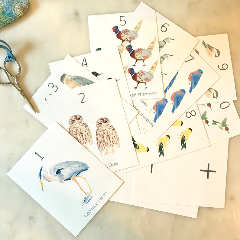 Counting Cards / Number Flashcards Birds - Etsy