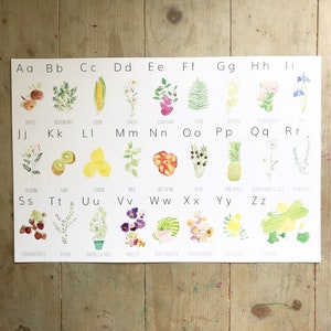 Botanical Alphabet Chart / ABC Poster - Etsy Canada