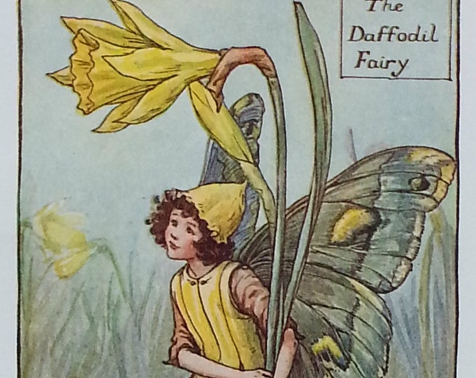 Flower Fairy Vintage Print 1930s Mounted Daffodil Fairy CICELY MARY ...