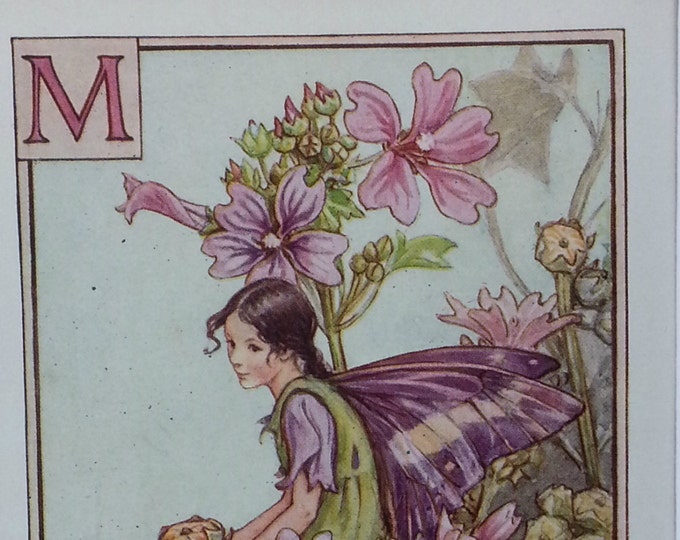 Flower Fairies Mounted M Mallow Alphabet Flower Fairy CICELY MARY ...
