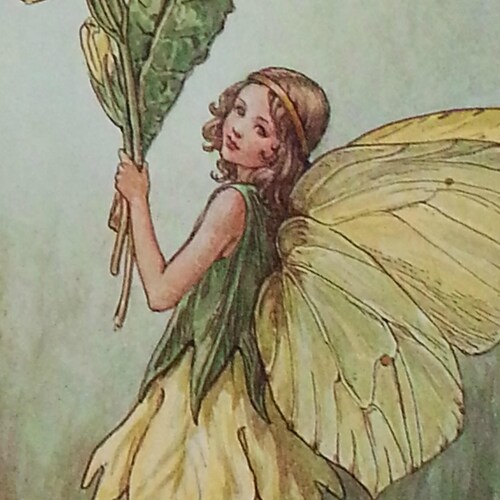 Flower Fairies Primrose Flower Fairy CICELY MARY BARKER | Etsy