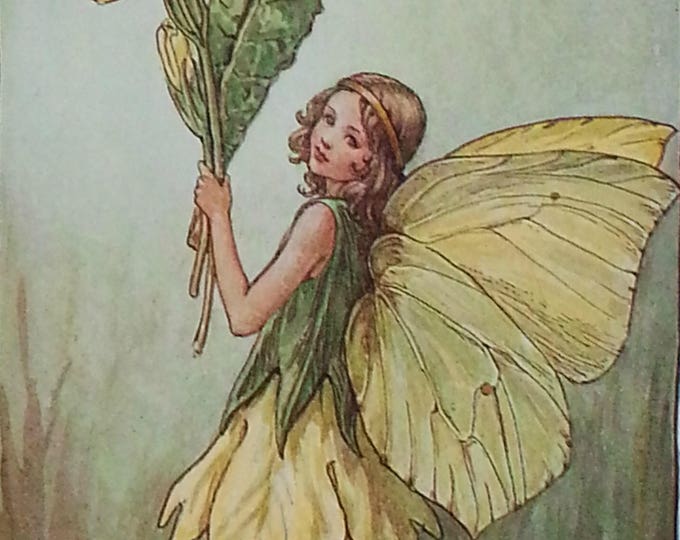 Flower Fairies Primrose Flower Fairy CICELY MARY BARKER Nostalgic ...