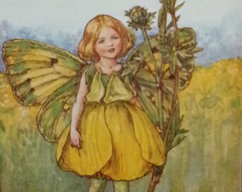 Flower Fairies Mounted M Mallow Alphabet Flower Fairy CICELY MARY ...