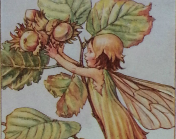 Autumn Flower Fairy Vintage Print 1930's Hazelnut Flower Fairy CICELY ...