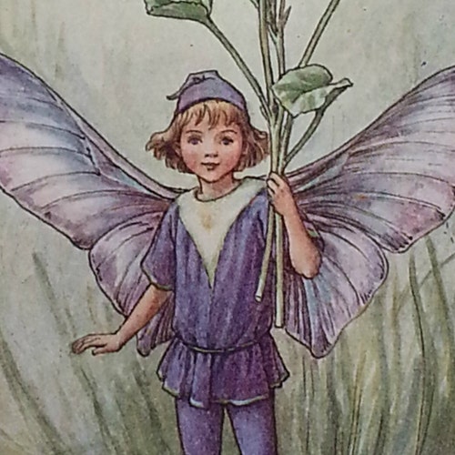Flower Fairies Primrose Flower Fairy CICELY MARY BARKER | Etsy