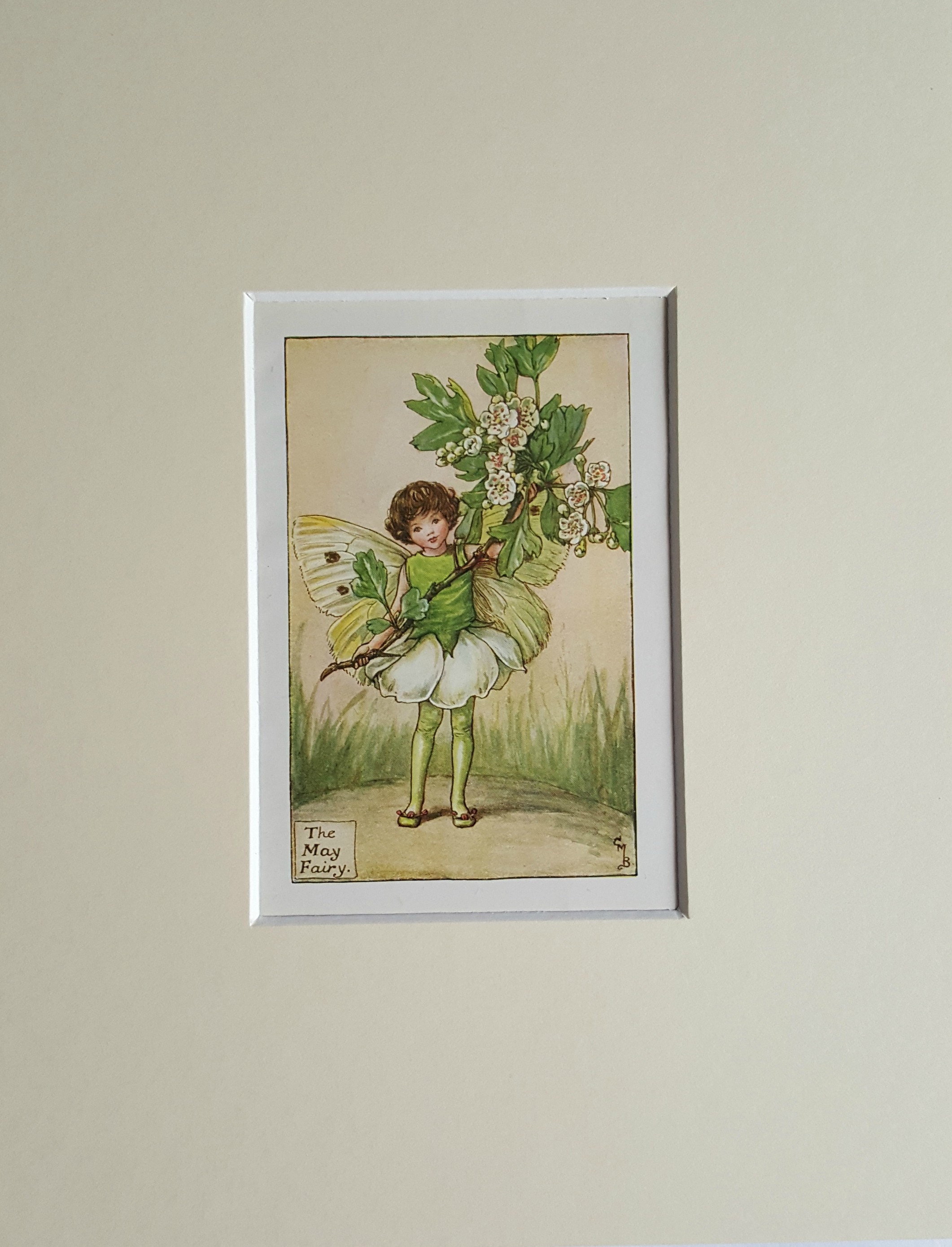 Flower Fairy Vintage Print 1930s Mounted May Fairy Cicely Mary - Etsy UK