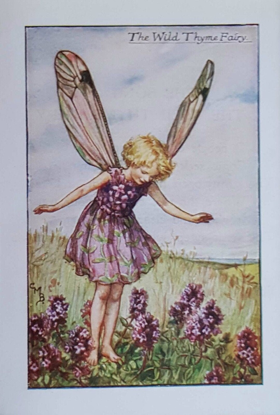 Thyme Flower Fairy Vintage Print 1930s - CICELY MARY BARKER Flower ...