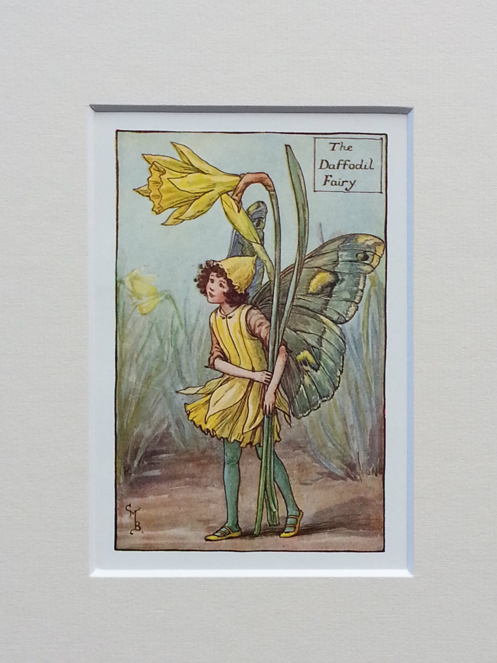 Flower Fairy Vintage Print 1930s Mounted Daffodil Fairy CICELY - Etsy UK