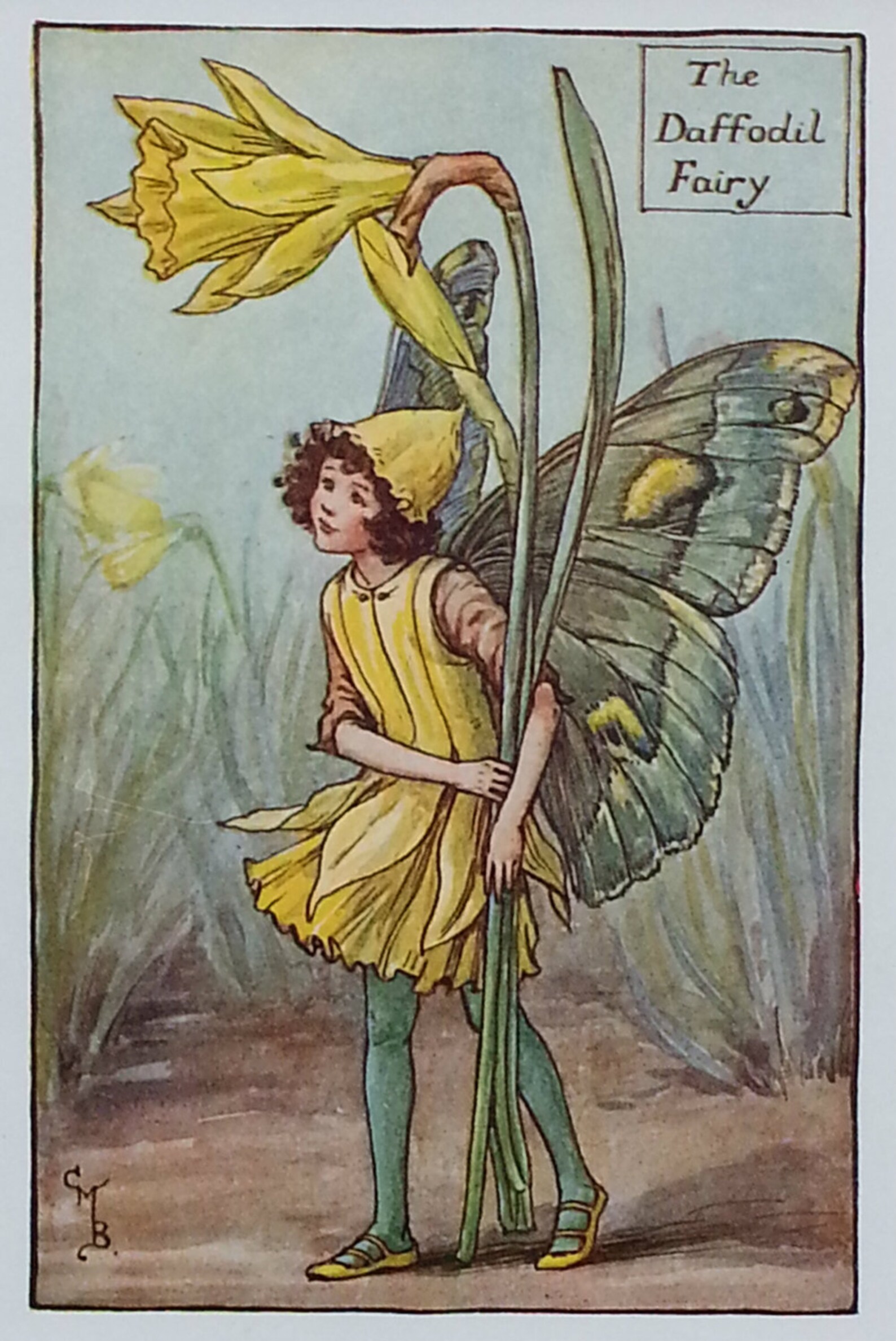 Flower Fairy Vintage Print 1930s Mounted Daffodil Fairy CICELY - Etsy UK