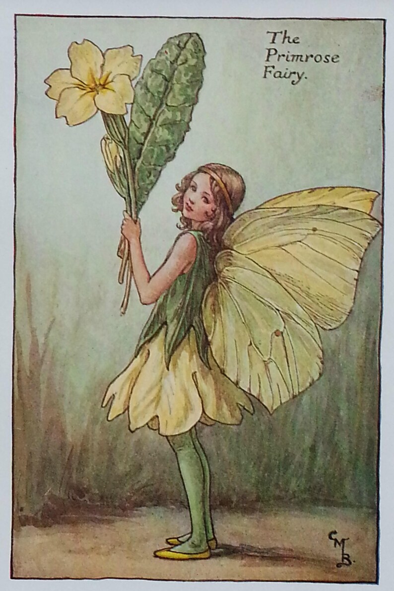 Flower Fairies Primrose Flower Fairy CICELY MARY BARKER - Etsy UK