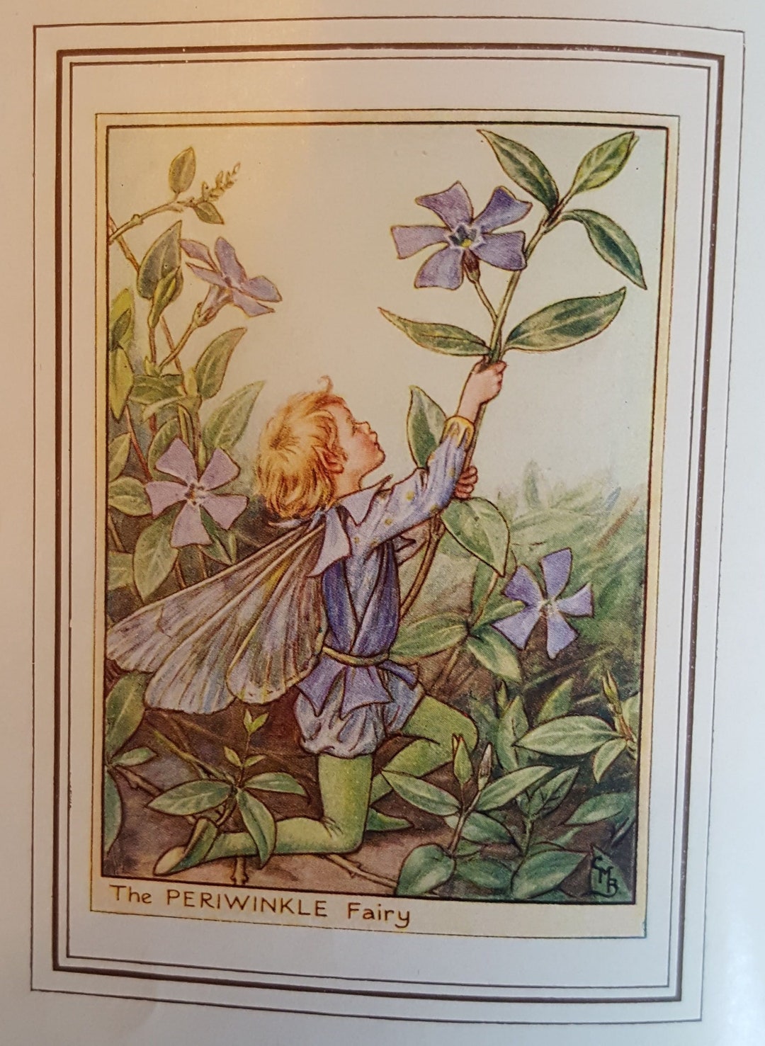 Periwinkle Flower Fairy UNMOUNTED Flower Fairies 1930's CICELY M BARKER ...