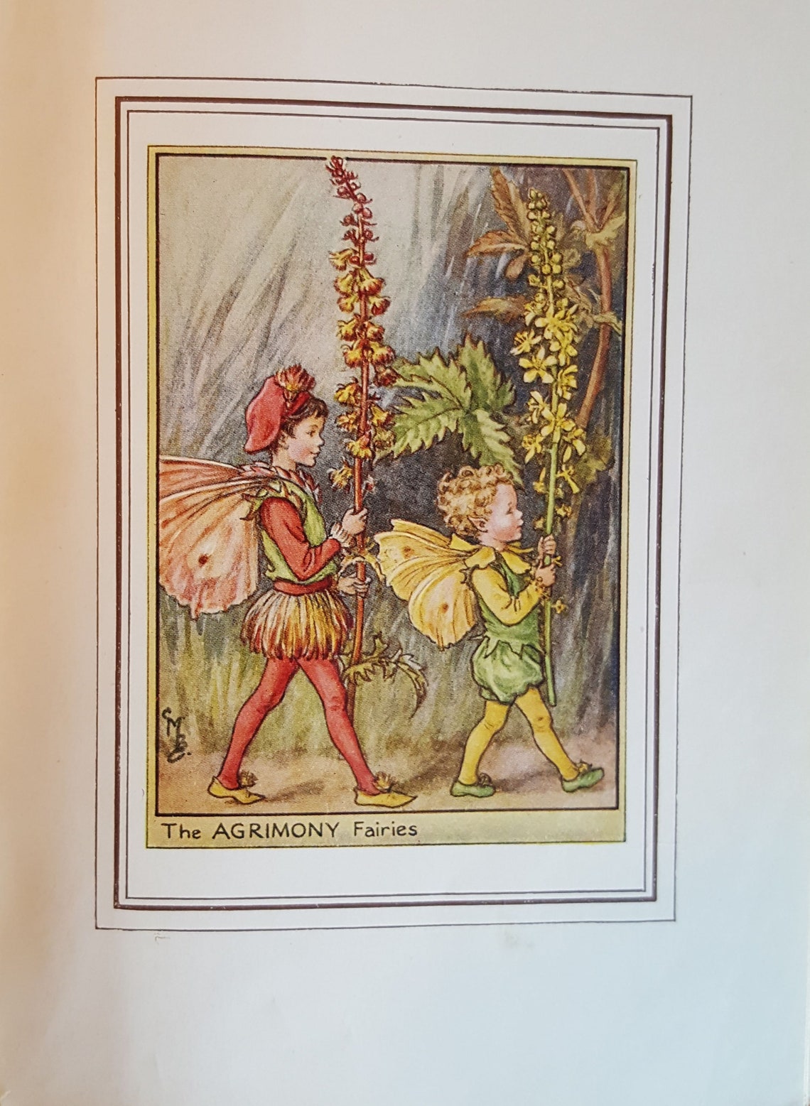 Agrimony Flower Fairy UNMOUNTED Flower Fairies 1930's CICELY M BARKER ...