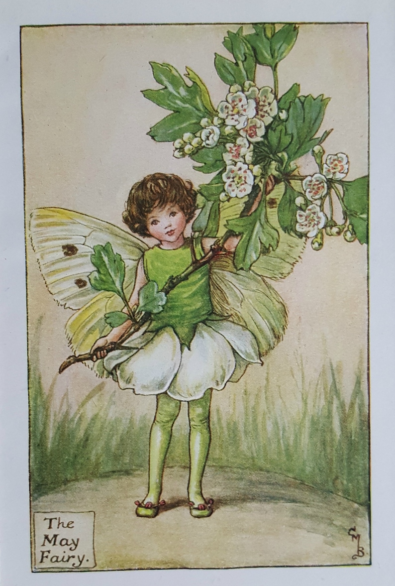 Flower Fairy Vintage Print 1930s Mounted May Fairy Cicely Mary Barker ...