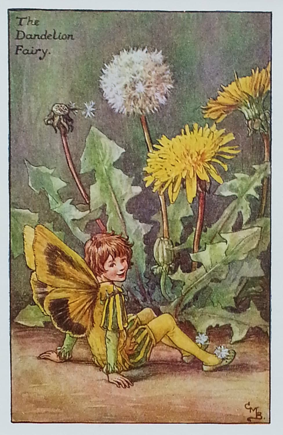 Flower Fairy Vintage Print 1930s Dandelion CICELY MARY BARKER | Etsy