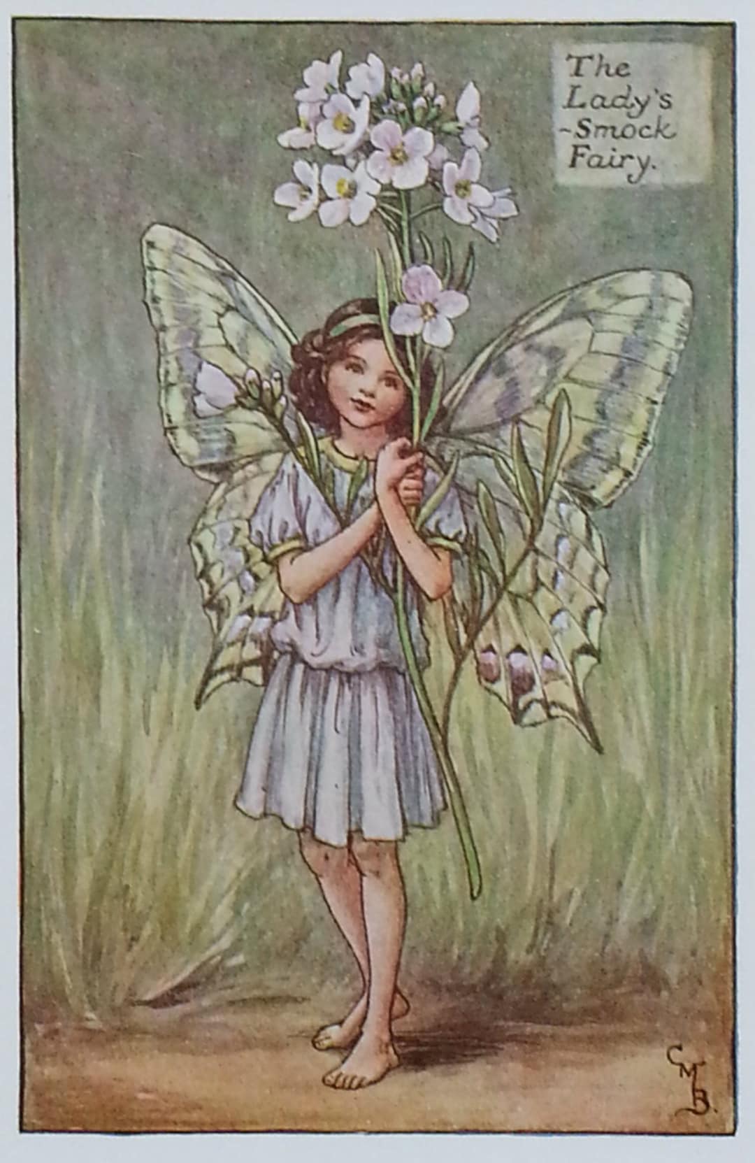 Flower Fairy Lady's Smock Vintage Print 1930s Mounted CICELY MARY ...