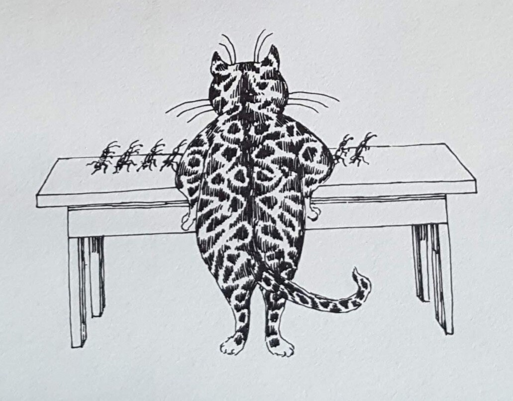 Gumbie Cat Memes Stretchy : R/cats